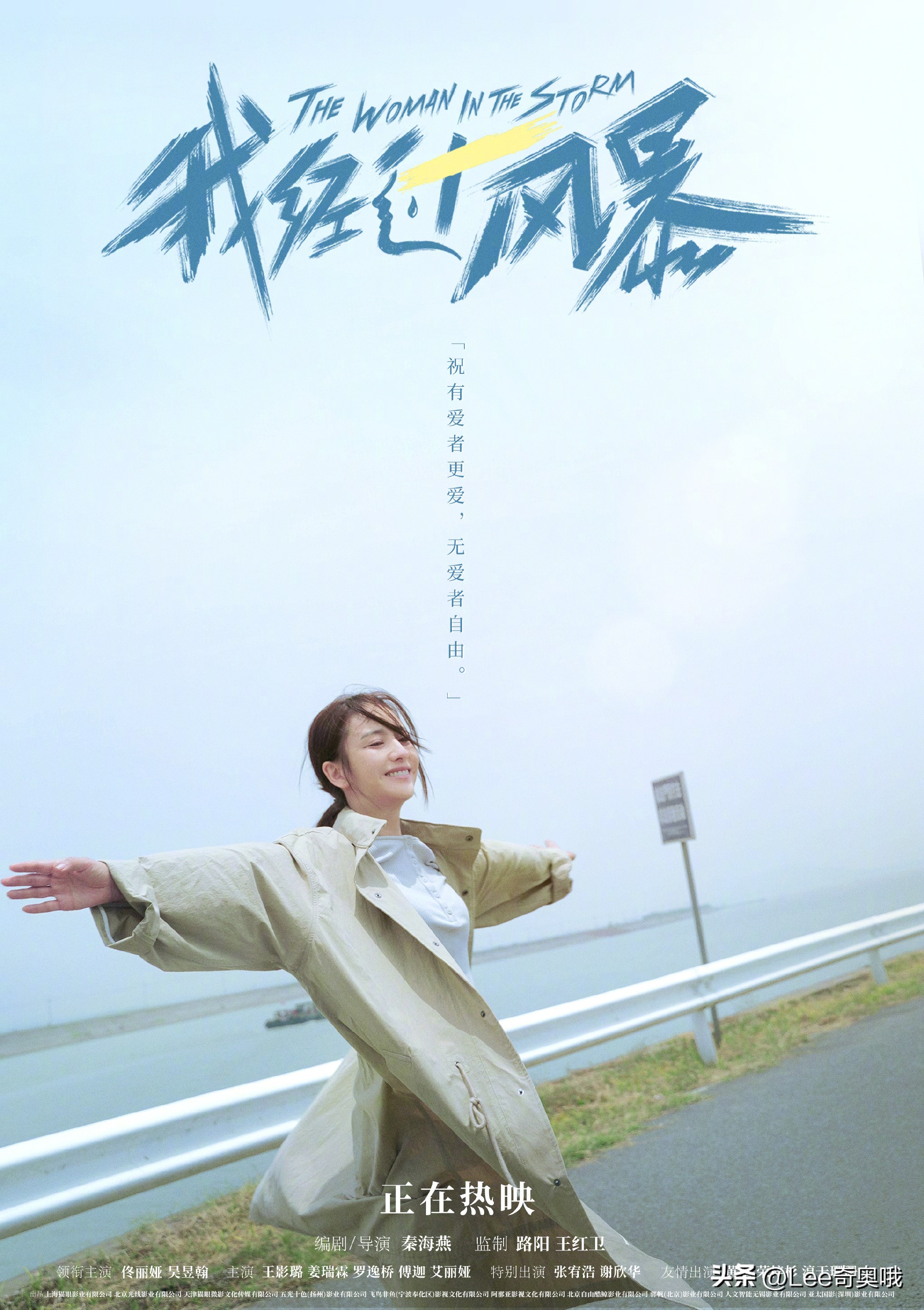 "I Passed the Storm" starring Tong Liya and Wu Yuhan broke 100 million at the box office Douban ...