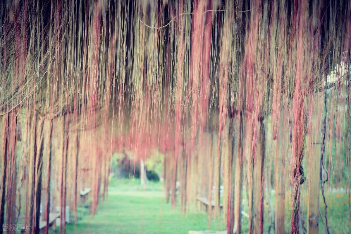 Share a classic song "Yilian Youmeng" sung by Liu Ziling - iMedia