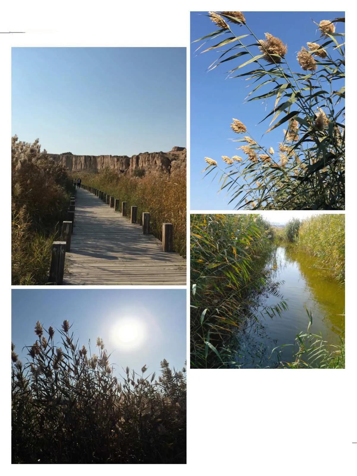 Visiting the Yellow River 3~~ Shuidonggou - iNEWS