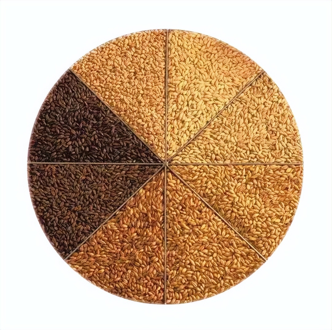 Malts commonly used in craft beer - iNEWS