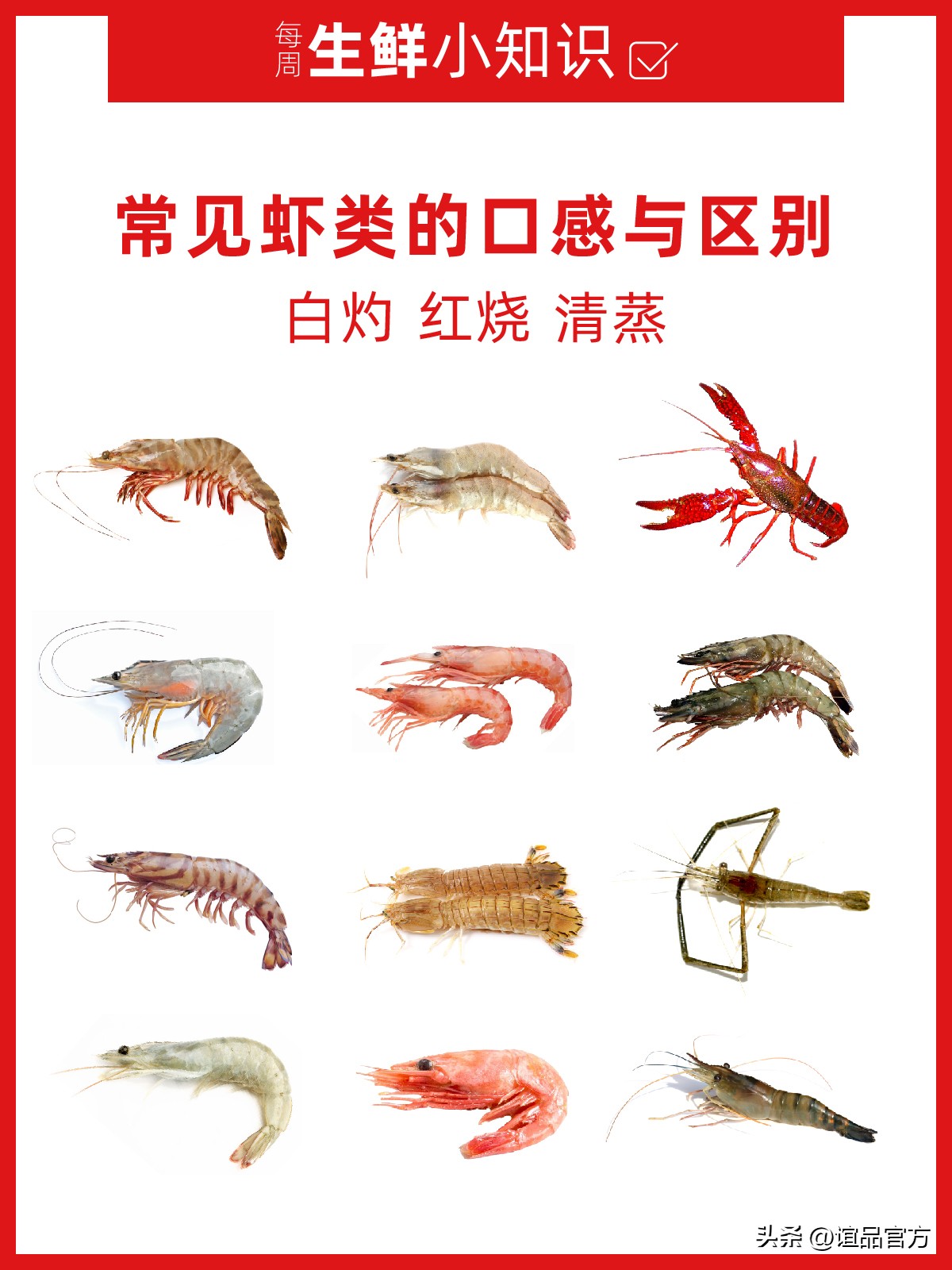 Types and eating methods of common shrimp - iNEWS