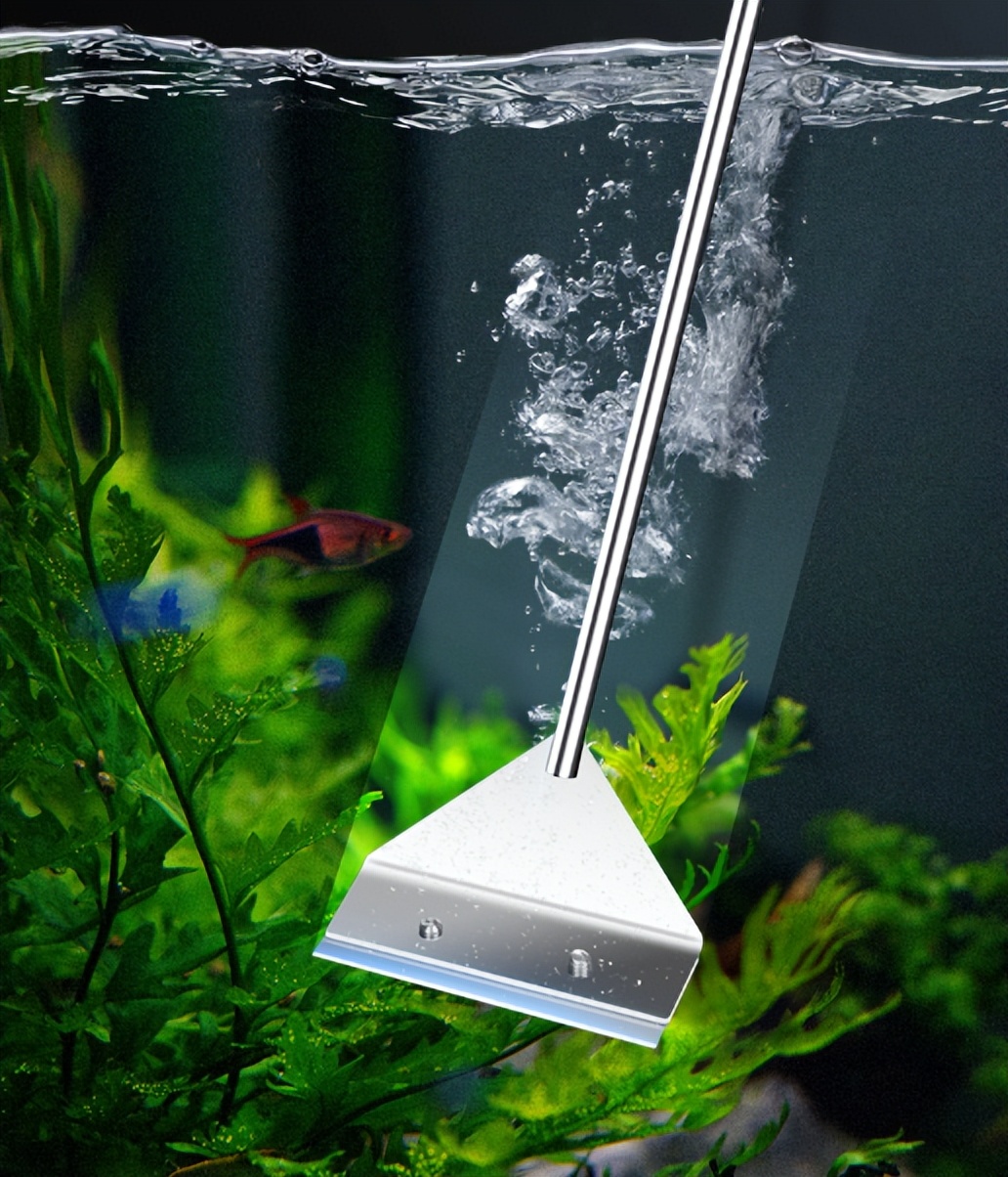 Eight major misunderstandings of grass tank novice ~ The correct method ...