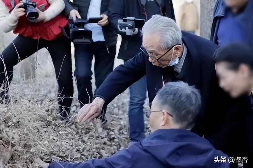 Painful condolences to Mr. Ye Wencheng, the master of ancient Chinese ...