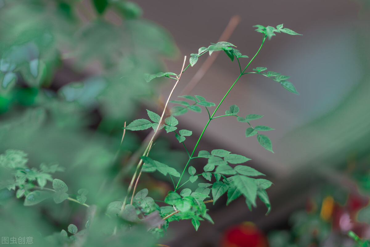 When people are old, they must learn to keep their money, and forget ...