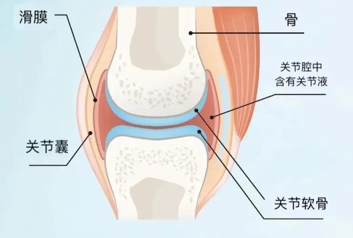 How do you know if your joints are healthy?Good habits for healthy ...