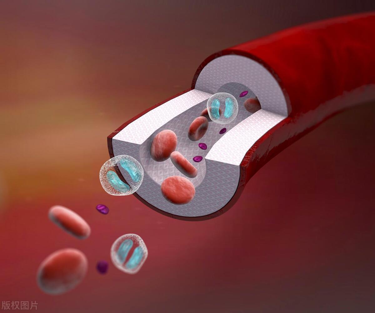 More walking is good for blood vessels? Doctor's suggestion: After the ...