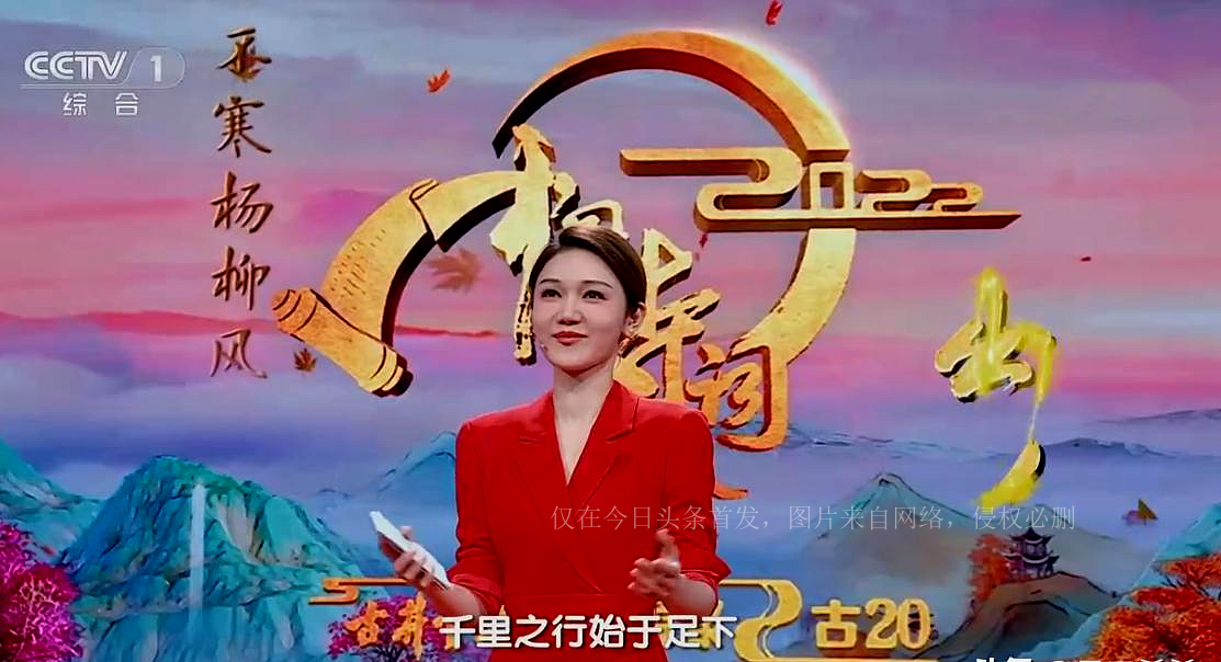 CCTV host Dong Qing leaves opportunities to young people; where will ...