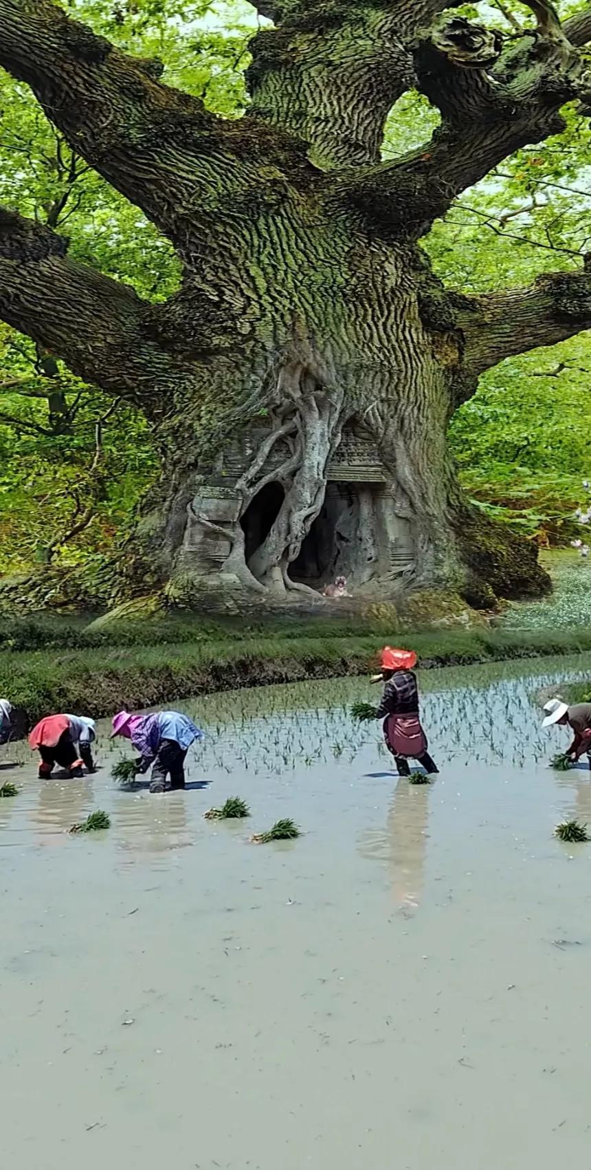 magical life - iNEWS