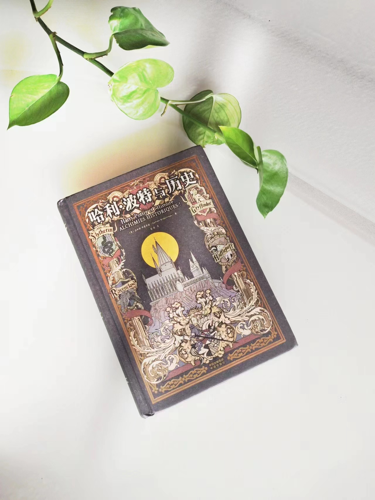 Harry Potter and the Origin of History - iNEWS