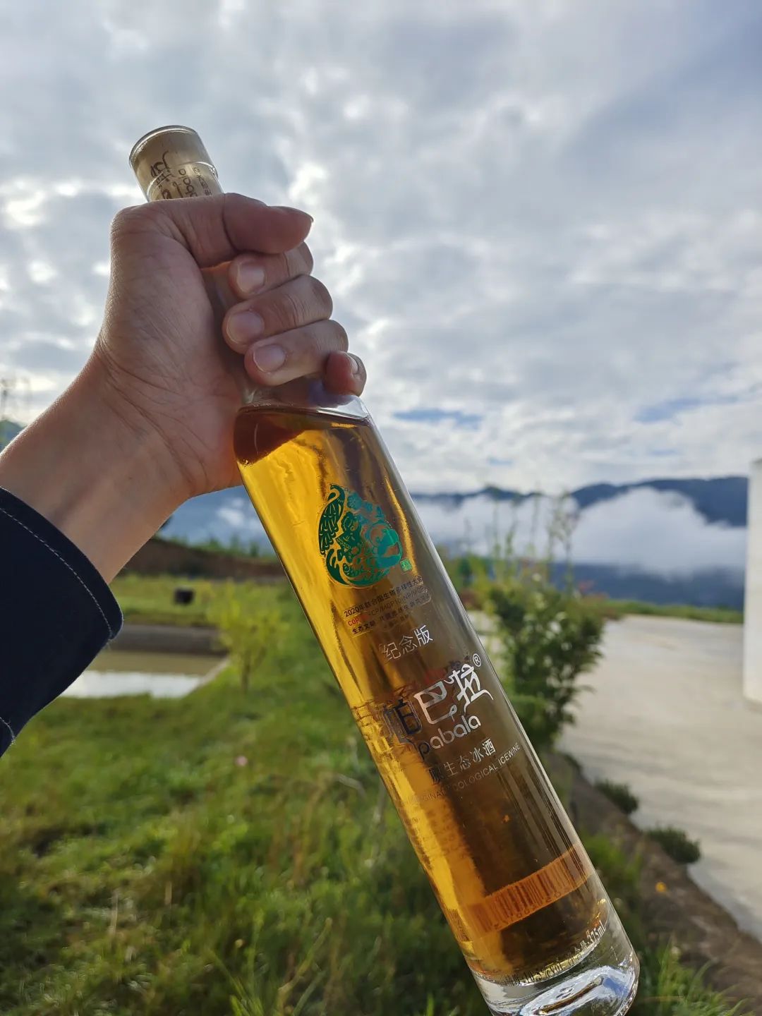 Visiting Shangri-La wine region in Yunnan 03: These Shangri-La wineries ...