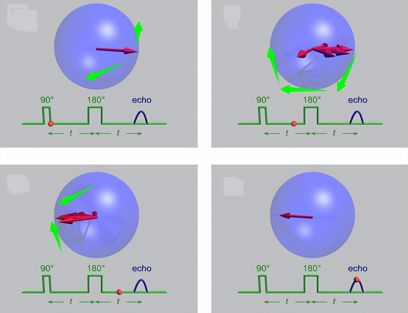 Protecting Non-Hermitian Process Evolution from Noise by Dynamically Decoupling - iNEWS
