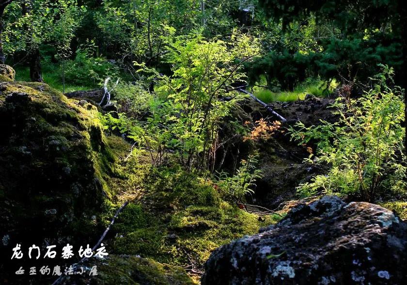 3. Longmen Stone Village - iNEWS
