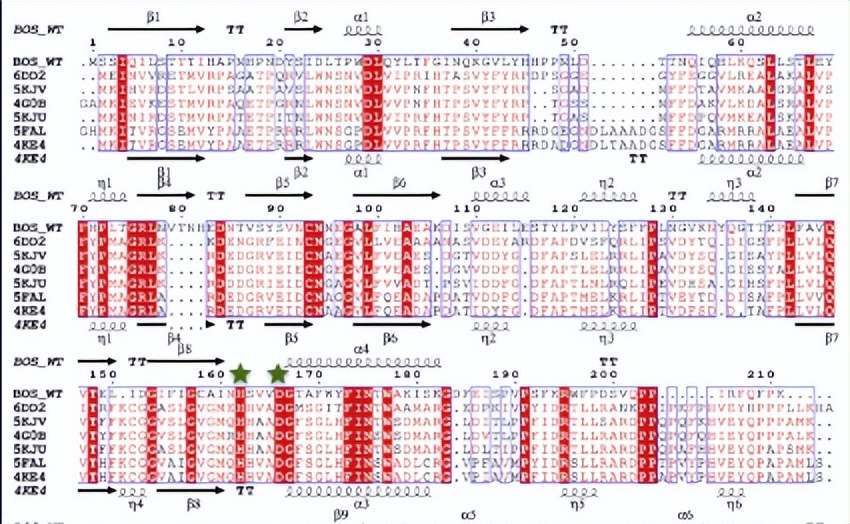 Study on the key enzymes and their characteristics in the biosynthesis ...