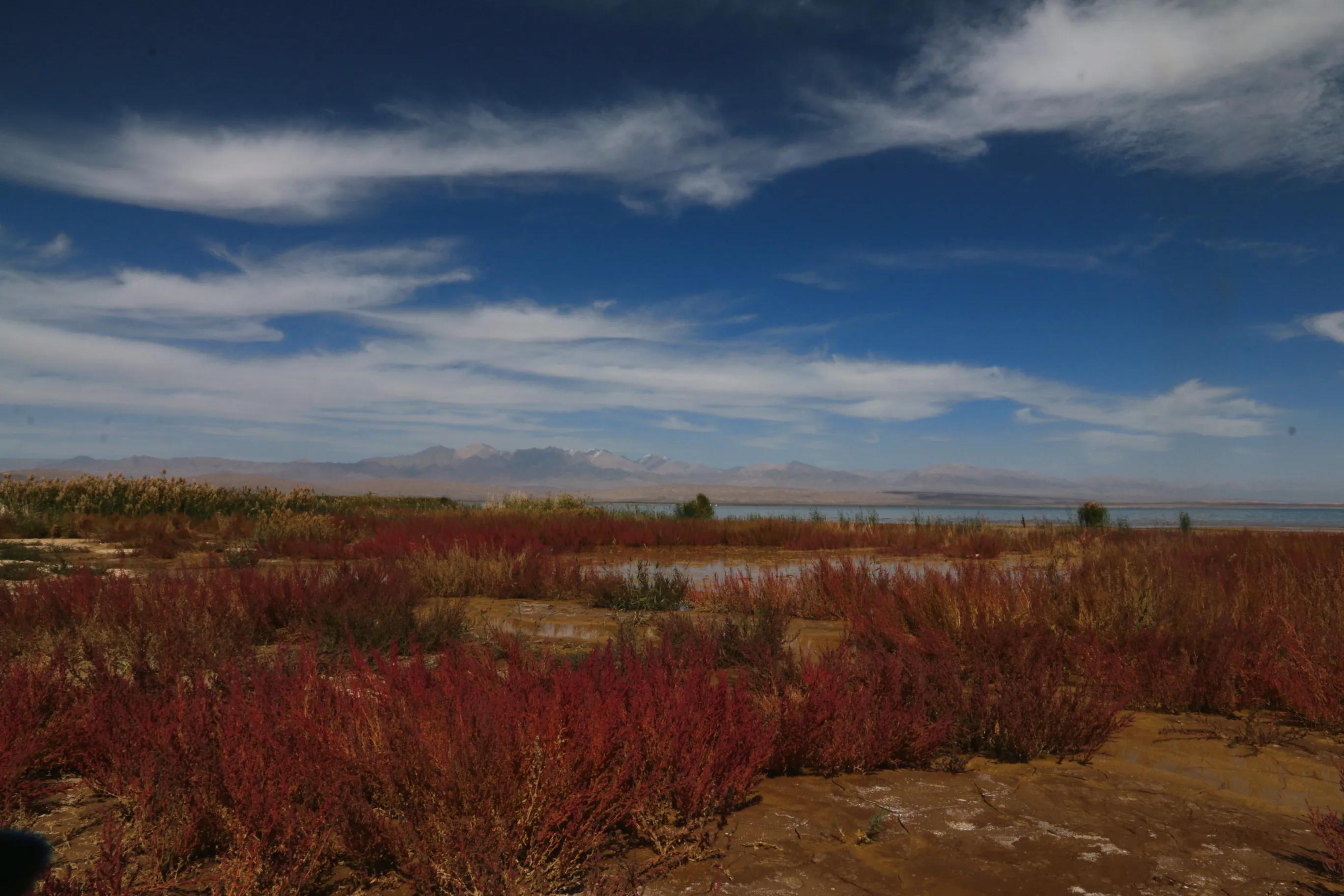 Delingha in memory - iMedia