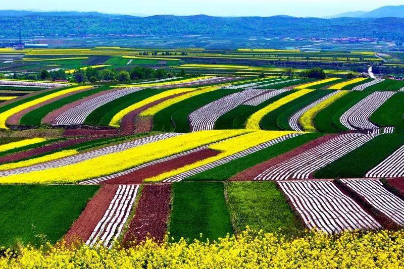 The beautiful scenery on both sides of the Jinghe River——Singing the ...