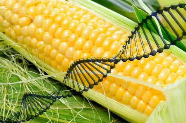The Truth About GMOs: The Science and the Controversy - iNEWS