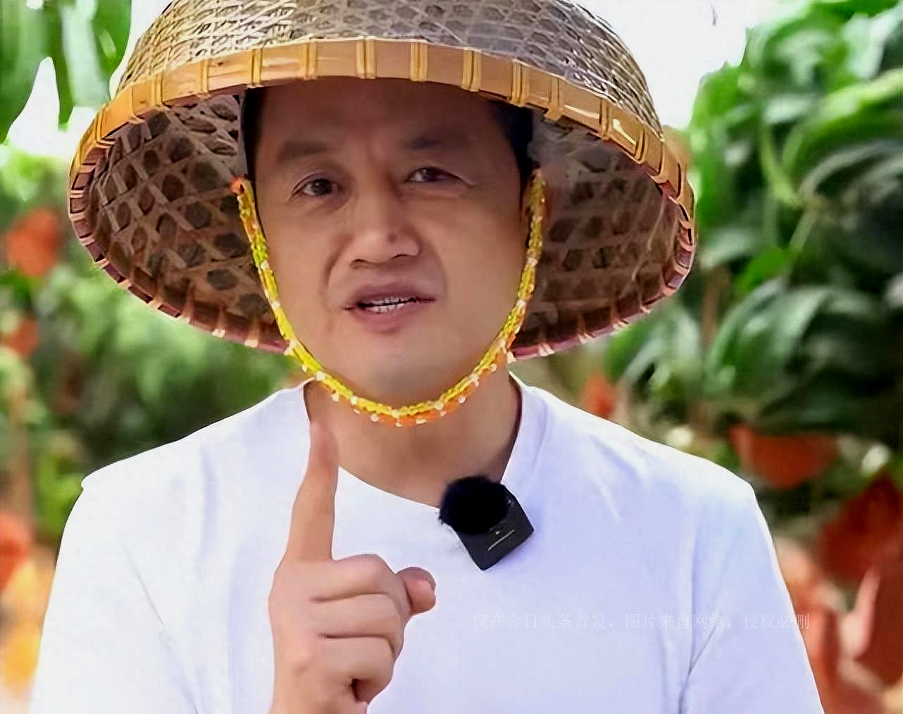 Does Haiha Jinxi regret marrying Li Yapeng? Afraid of becoming ex-wife ...