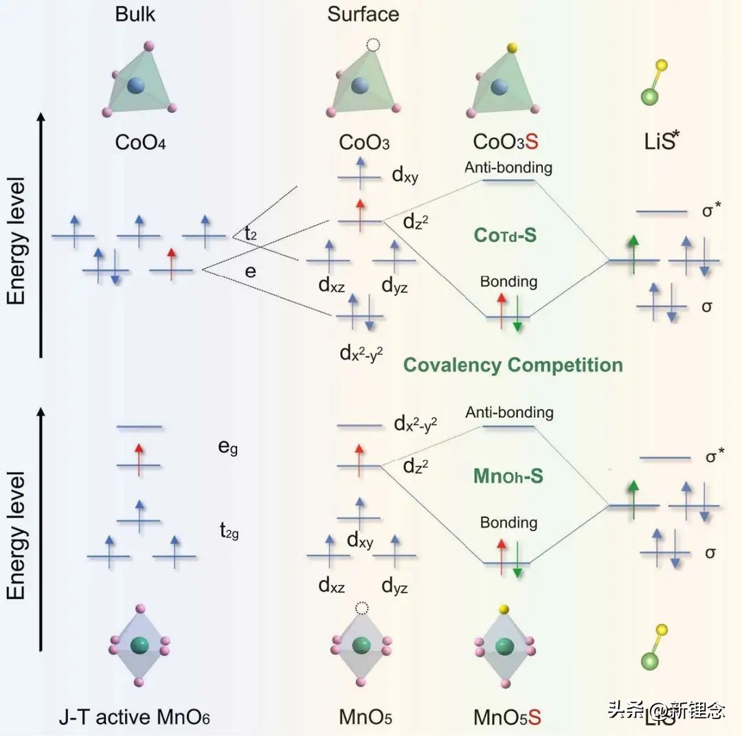 Angew of Soochow University: Atomic Scale Adsorption-Catalysis Dual ...