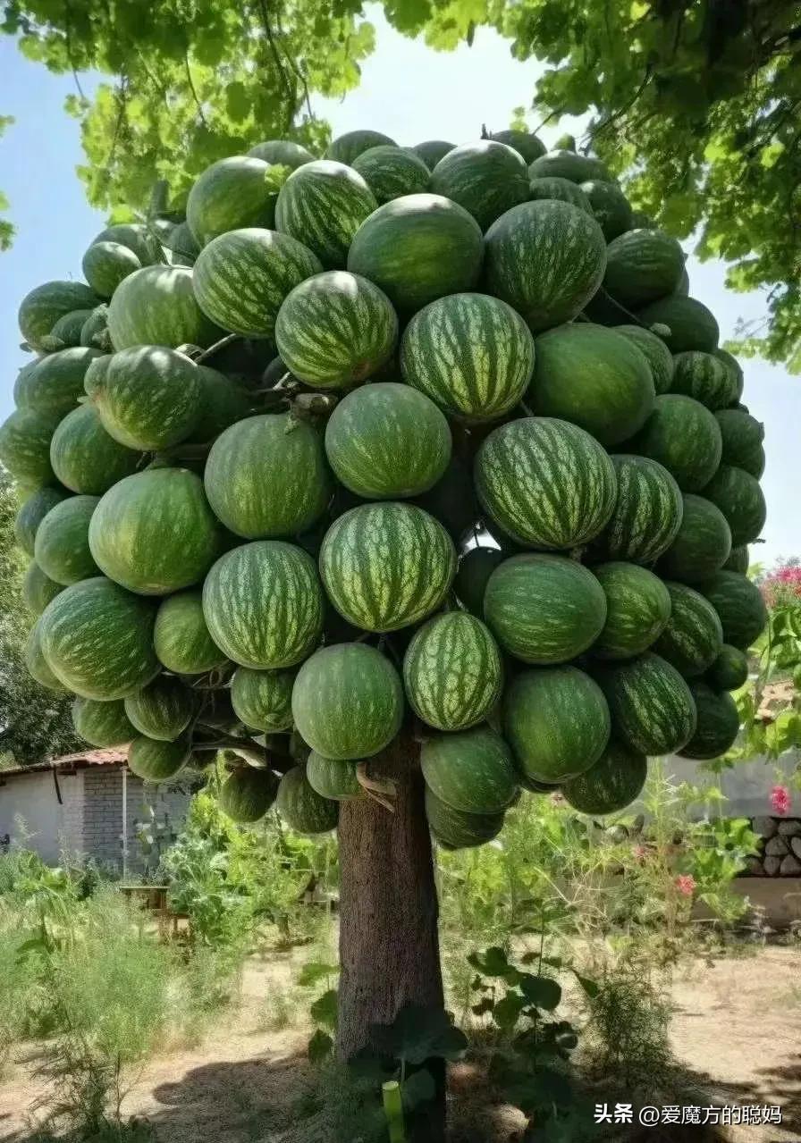 The process of simplifying your life is the process of simplifying ...