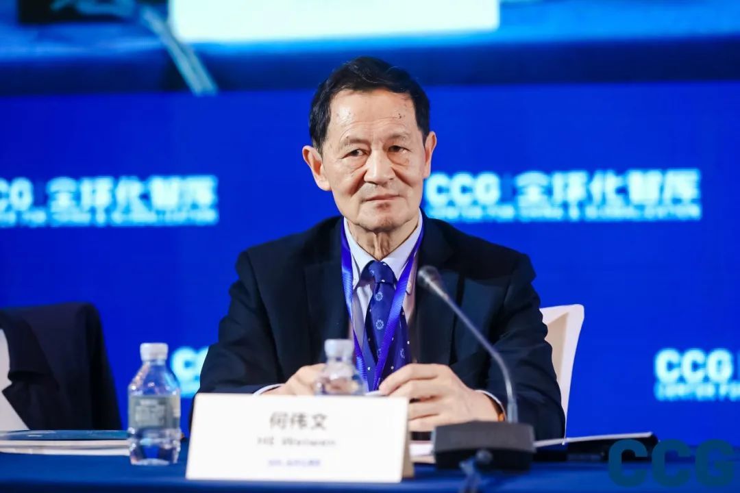 He Weiwen: Germany should not study the false proposition of decoupling ...