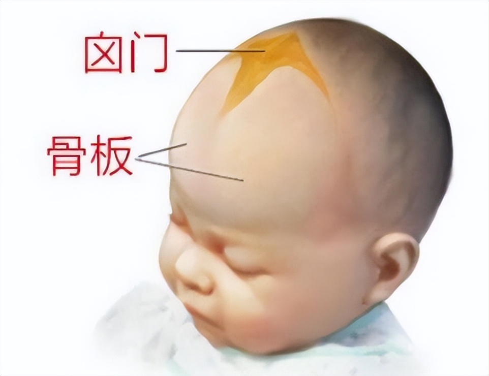 How to measure and observe the baby's head circumference and bregma ...