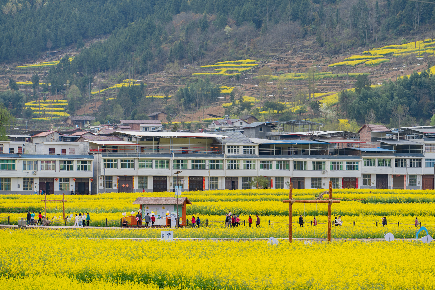 Go to the grand event of Bashan Chunhua together! Take you to enjoy ...