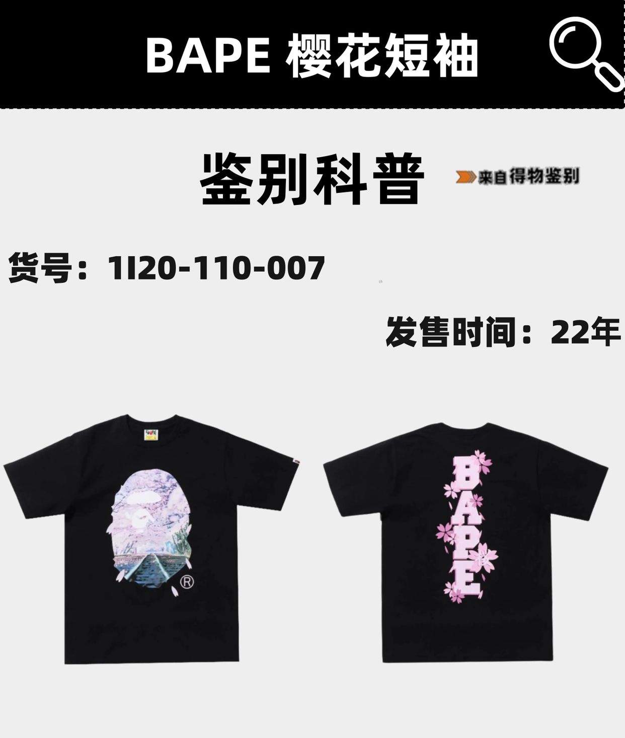 Bape Cherry Blossom Short Sleeve Identification Science Popularization ...