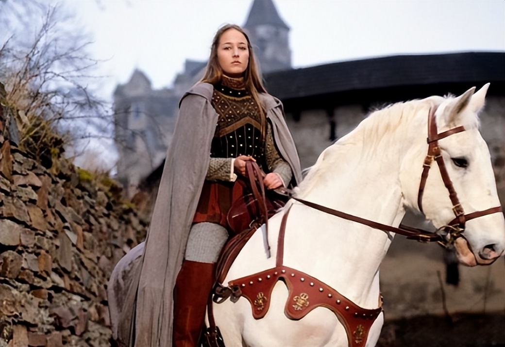 "Joan of Arc" is a film that truly reveals the division and turmoil during the Hundred Years ...