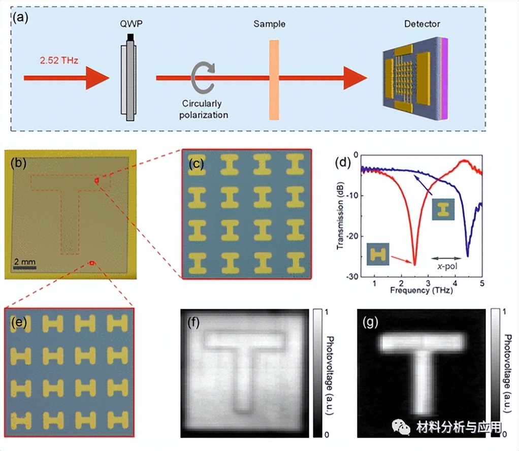 Monolithic metamaterial-integrated graphene terahertz photodetectors with wavelength and ...
