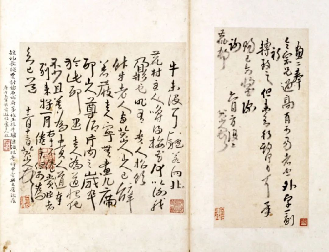 The Harmony of Bada Shanren's Calligraphy - iNEWS