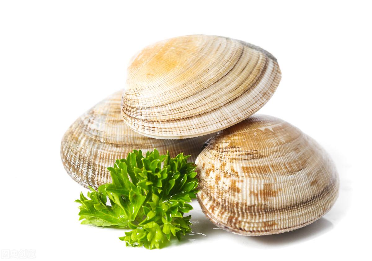 The clams you eat may be hundreds of years old - iNEWS