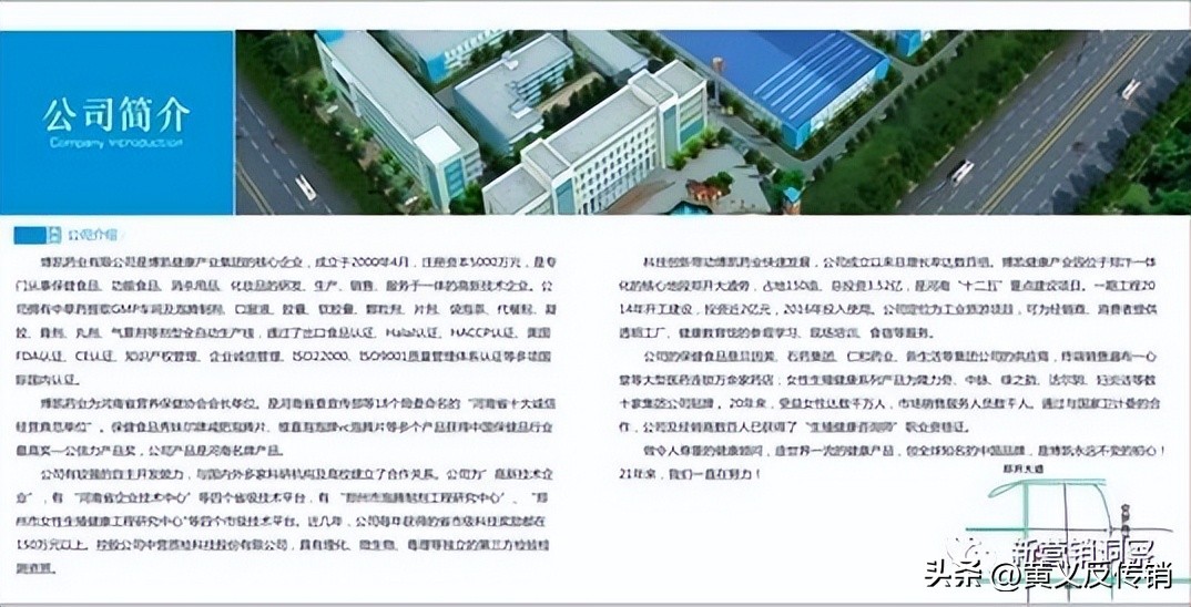 The Love of Youlan: How to Interpret the Two Agency Models in Promoting ...