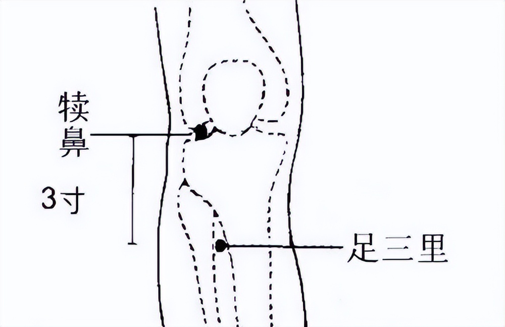 Chinese medicine acupoint determination formula, simple and easy to ...