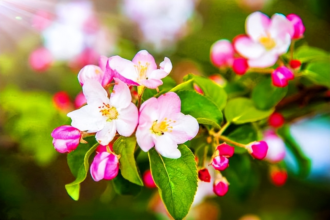 Su Hui, the wife of former Qin general Dou Tao, was woven into a ...