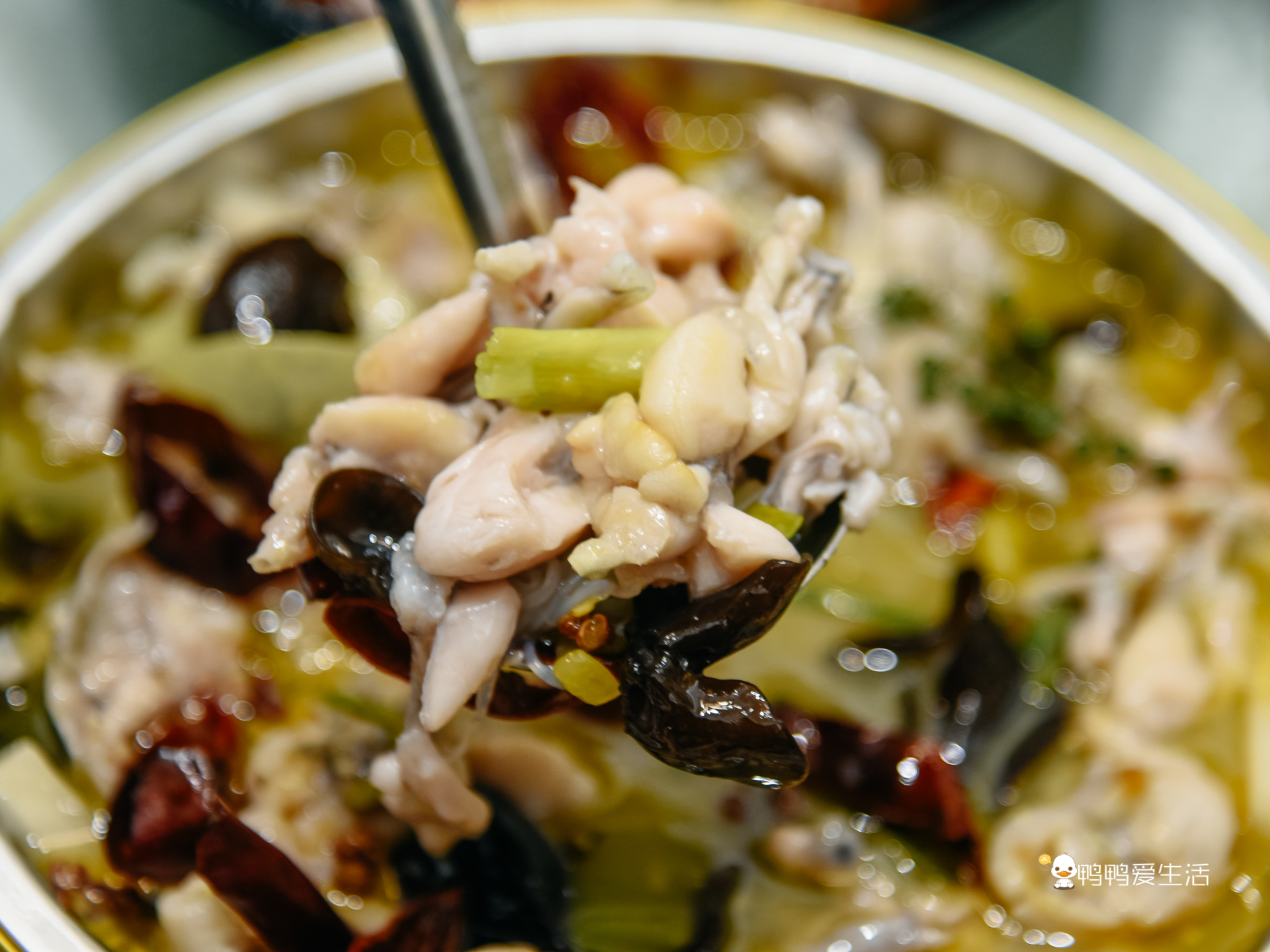 Xiamen's takeaway ace, pickled frogs can sell 1,000 copies in January ...