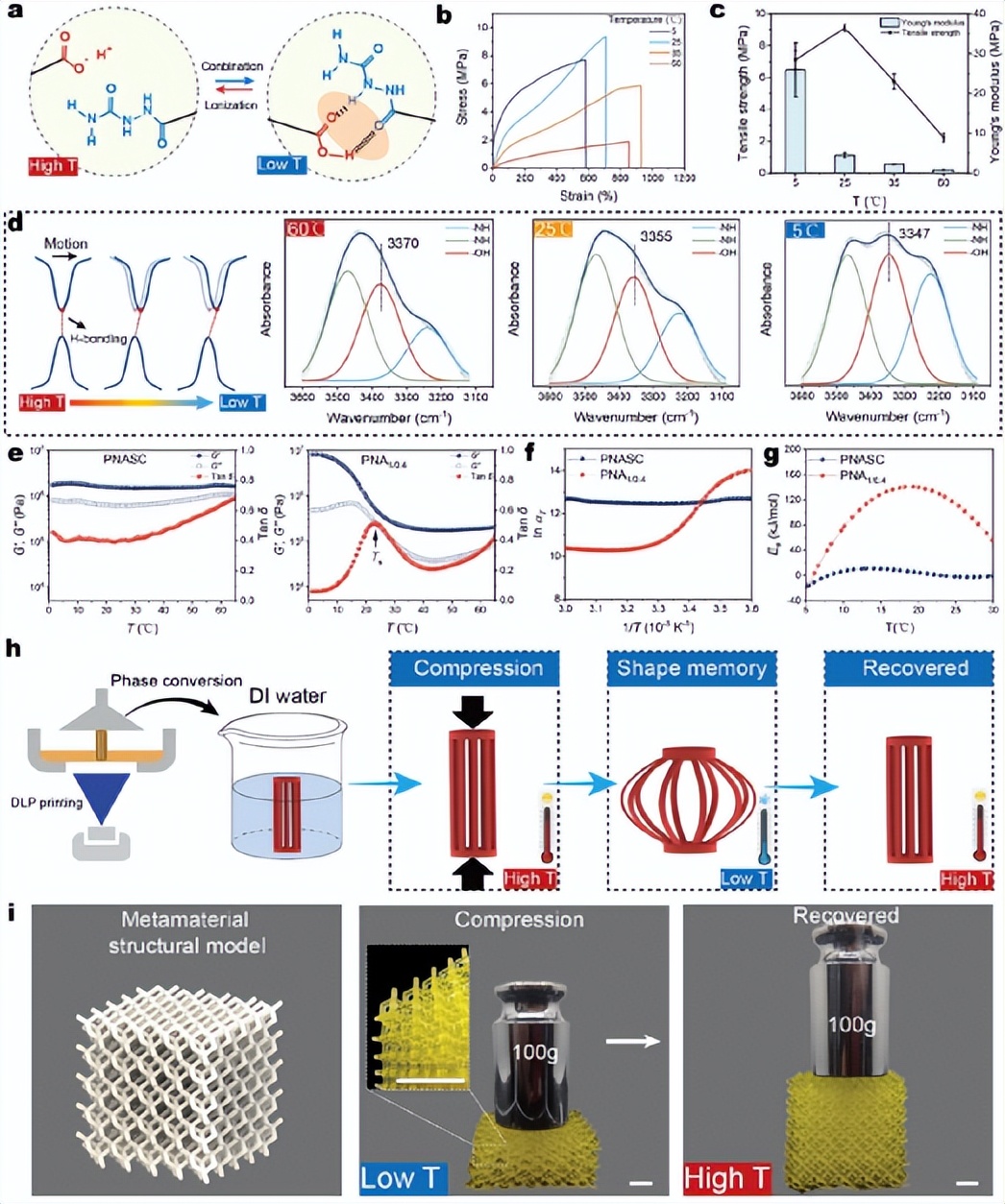 "AFM" Shihezi University: Strain-Induced Microphase Separation Realizes ...
