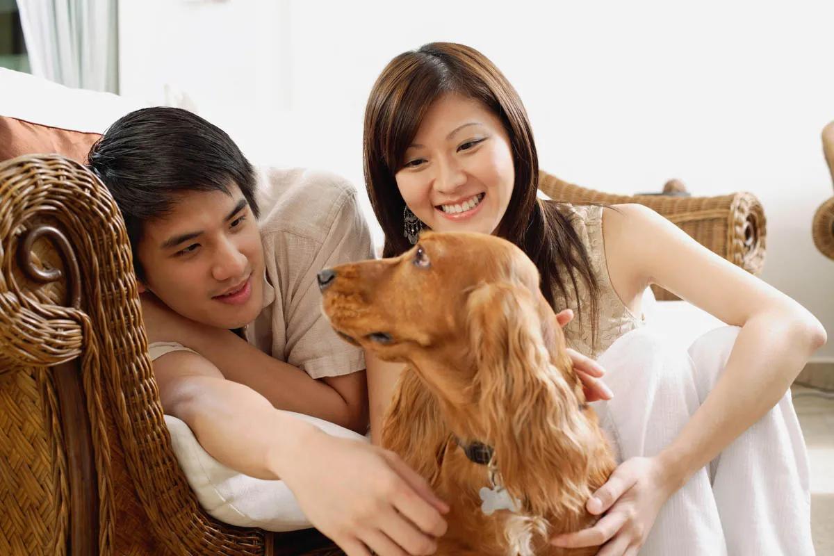 The celebrity couple who were obsessed with being a "DINK", now it's ...