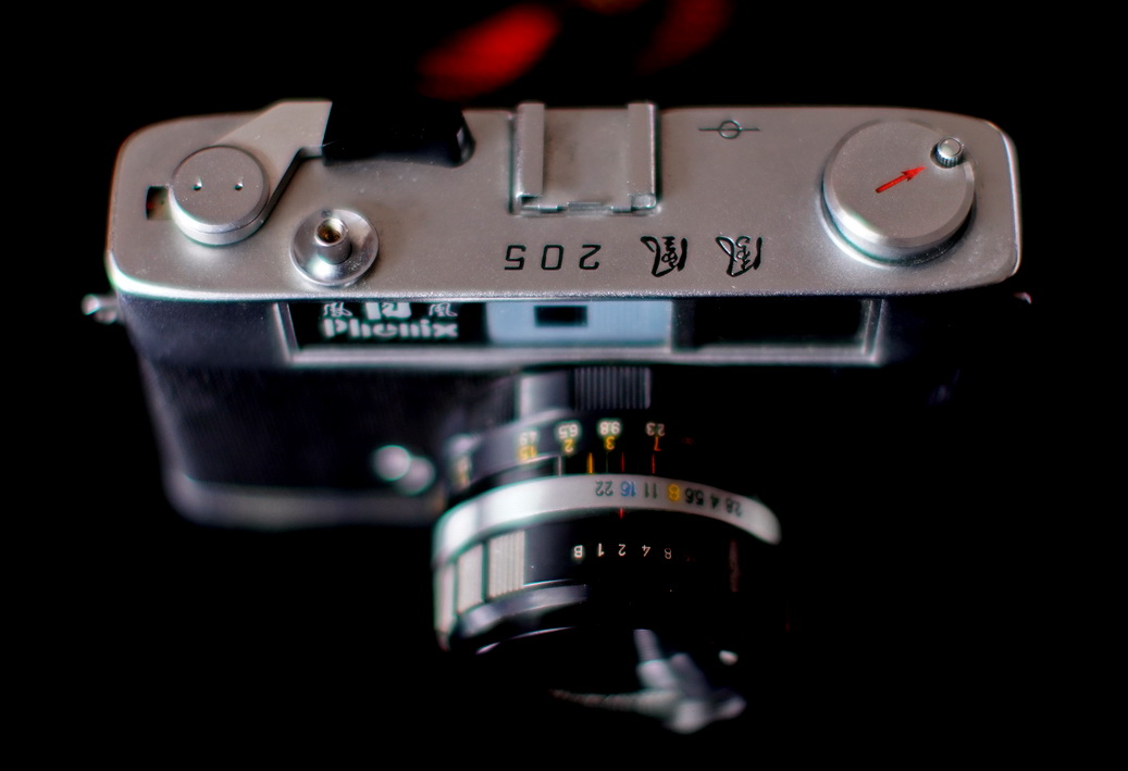 The "205" camera named by two birds: how many families used to be the ...