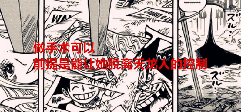 One Piece Chapter 1084: Lily gave Im an immortal surgery? Daughter ...