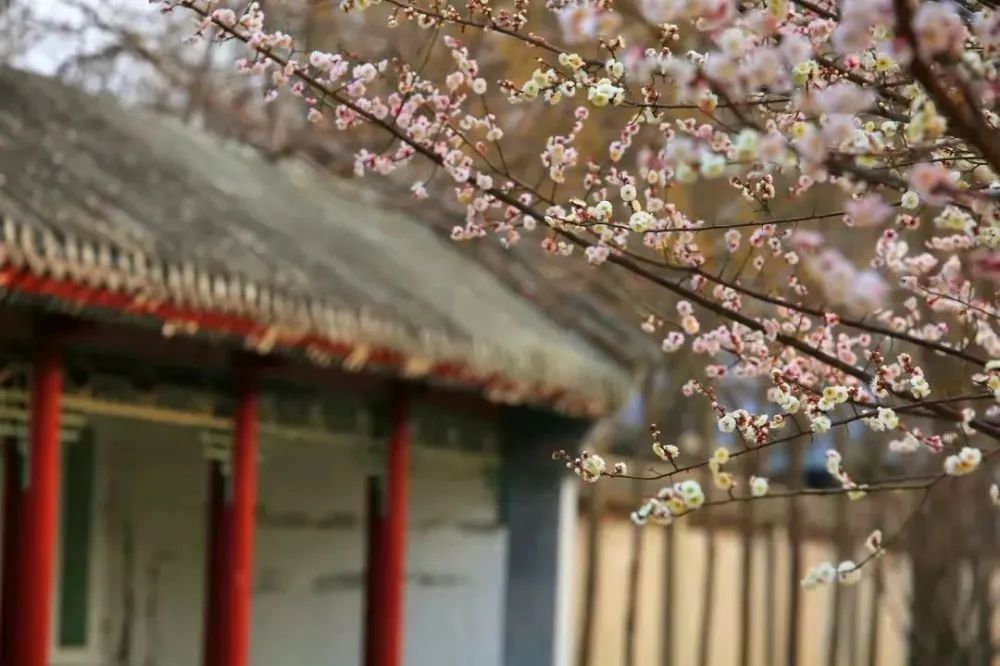 Upright Loyalty Temple Fengqing Fangru Garden - iMedia
