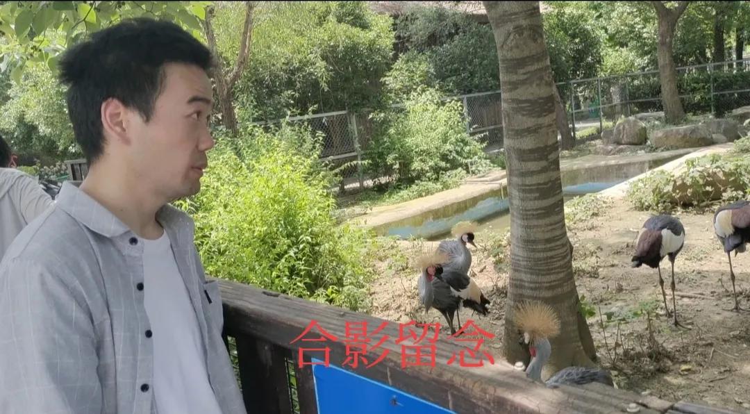 Suzhou Shangfangshan Forest Animal World - iMedia