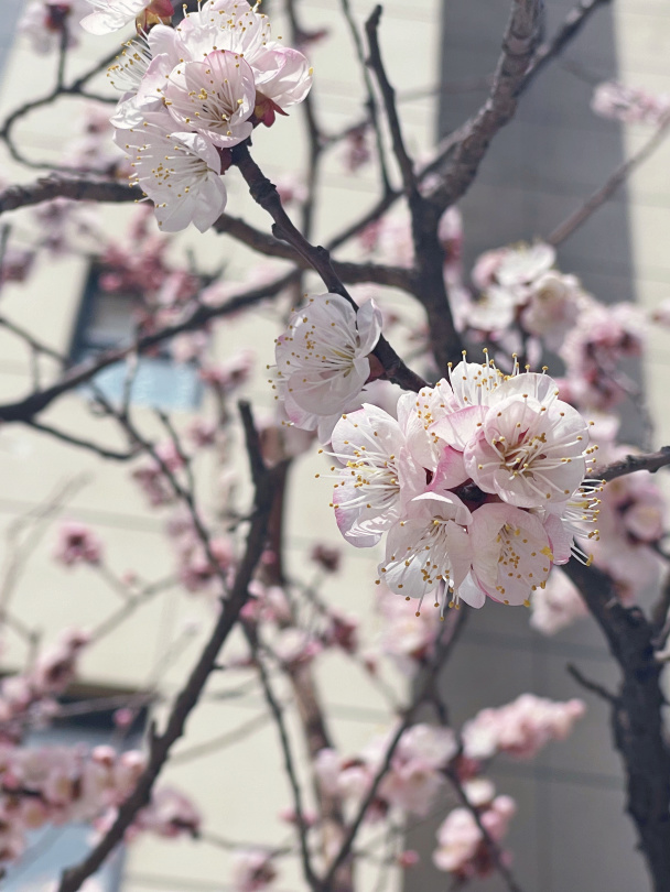 Live up to the April day in the world and enjoy the beauty of spring ...