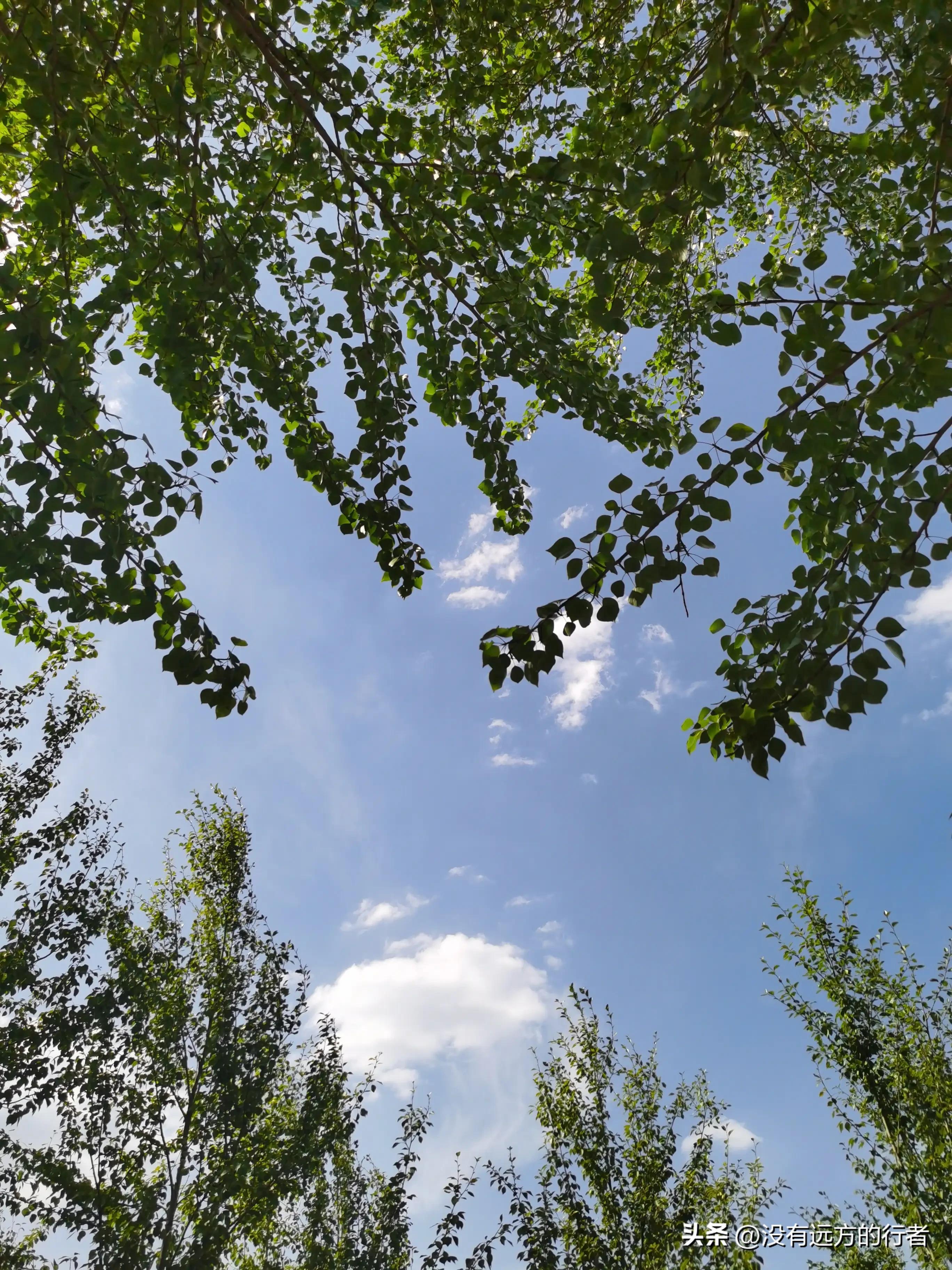 Langshan, a summer trip for Xining people - iNEWS