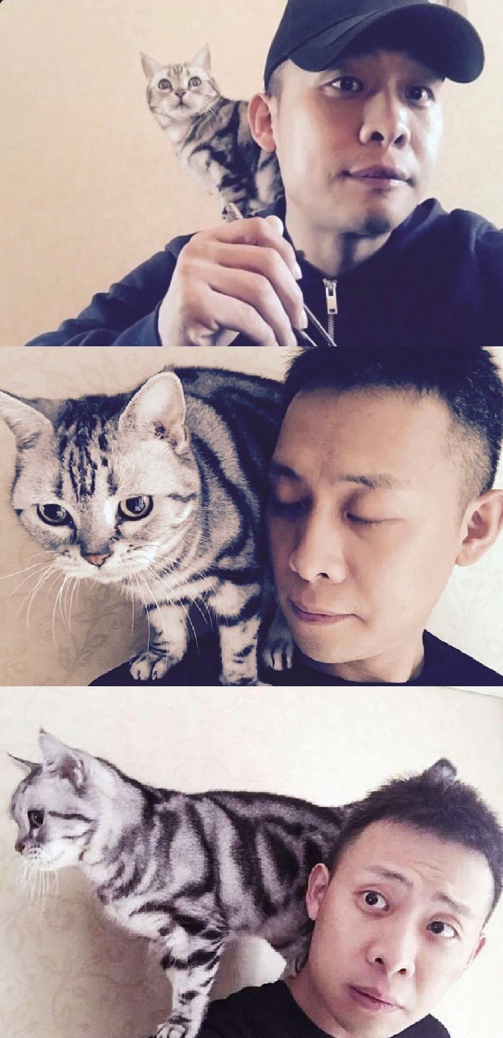 Who doesn't know that Zhang Yi is a cat slave? The Knockout is crazy ...