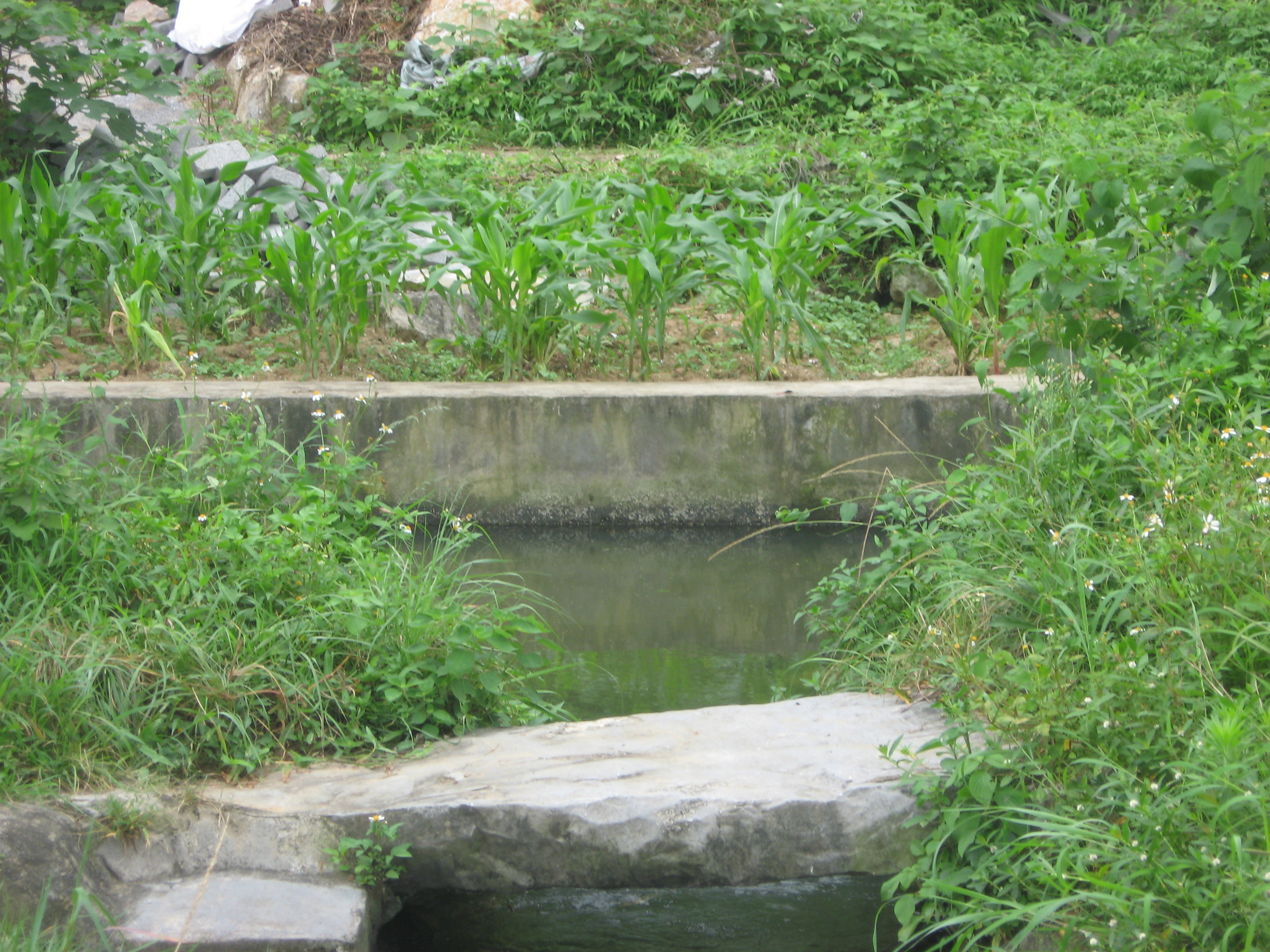 Quanjiang: Beautiful mountains and rivers are more beautiful - iNEWS