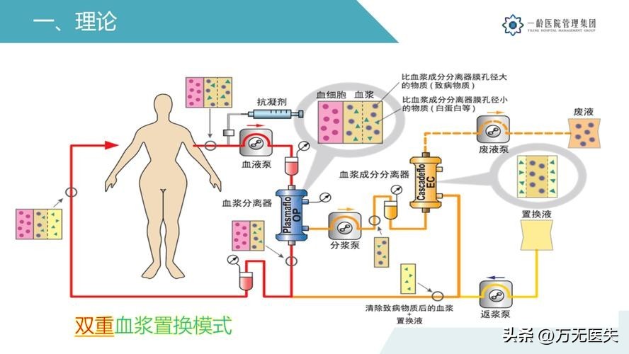 Acute optic neuritis in neuromyelitis or neuromyelitis optica spectrum ...