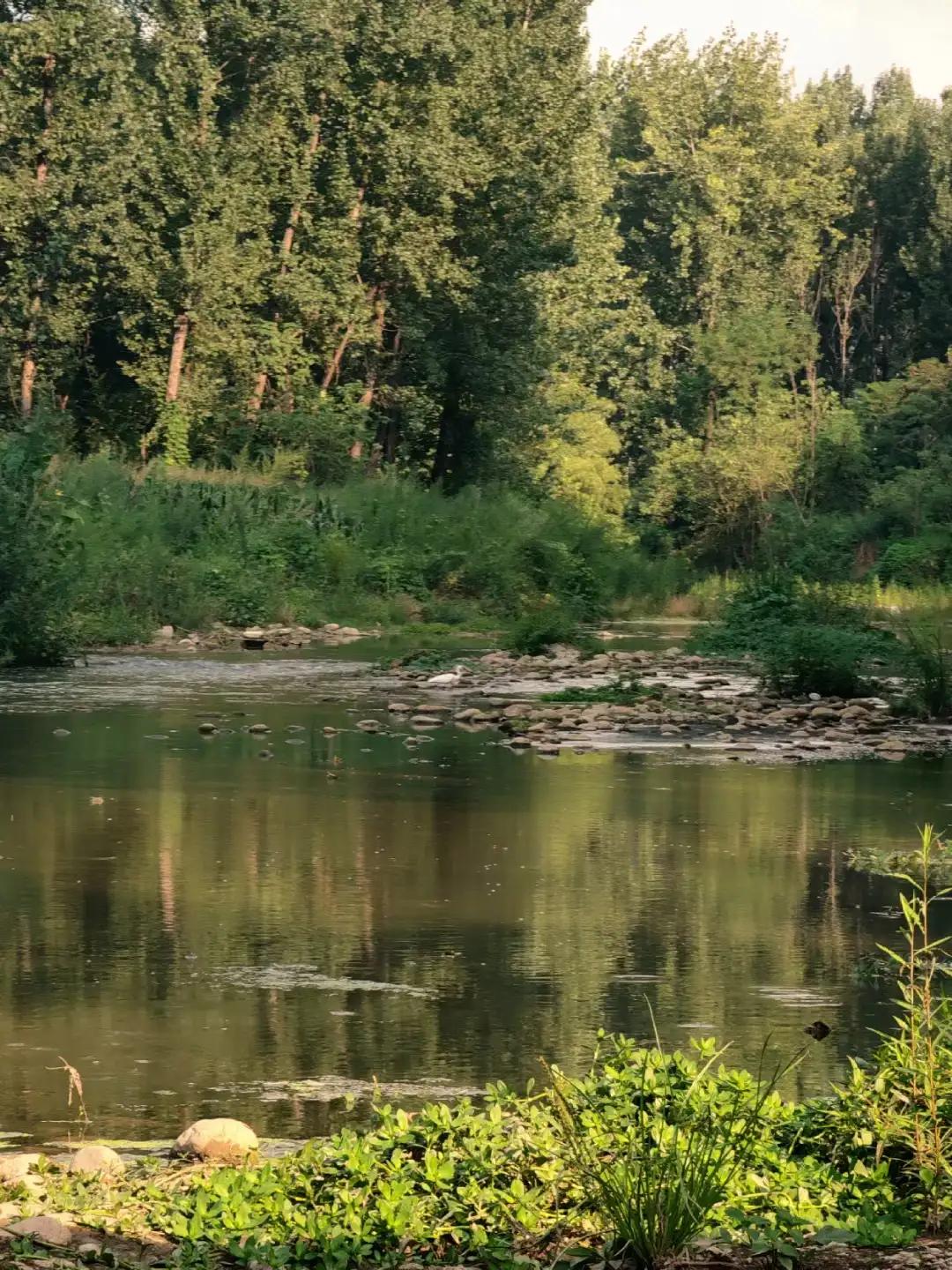 bad shackles - iNEWS