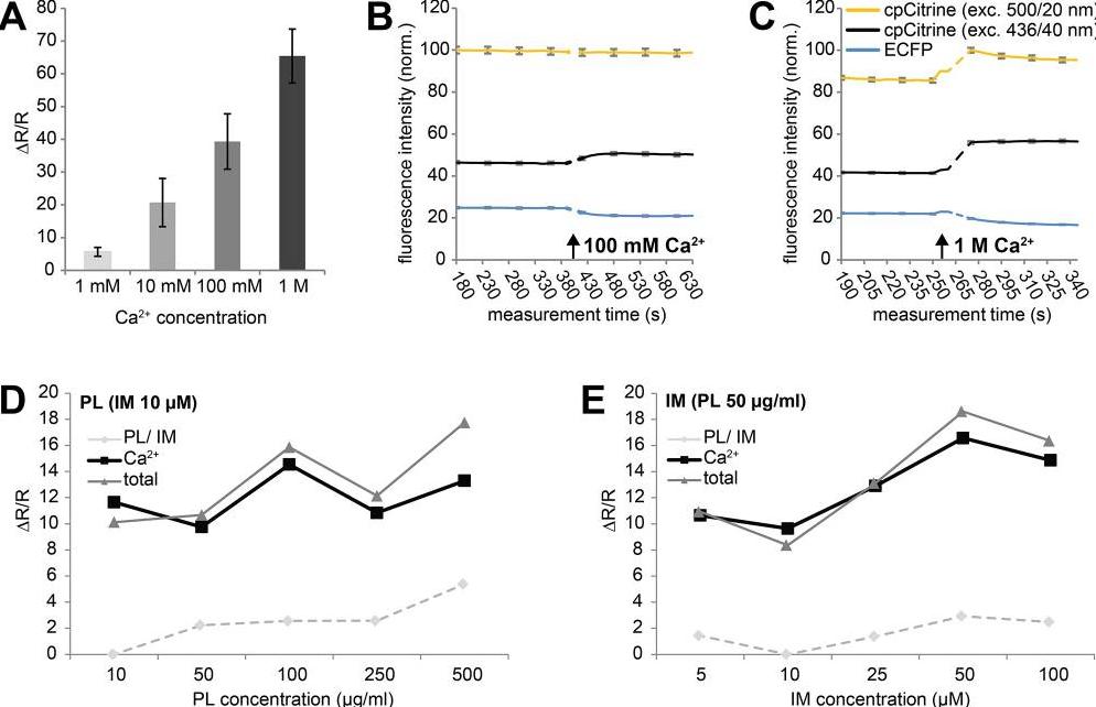 Proline iminopeptidase regulates bacterial movement and its impact on ...