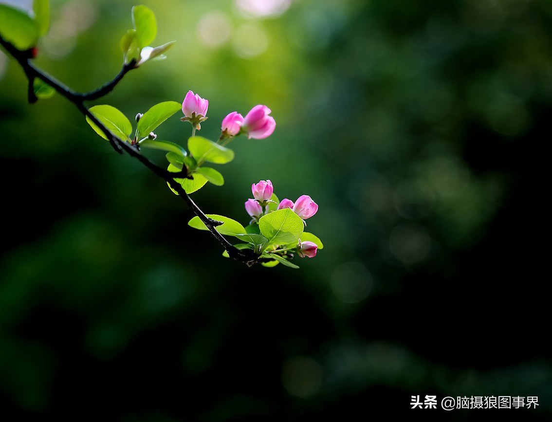 Why are your photos not transparent?You should find the reasons from ...