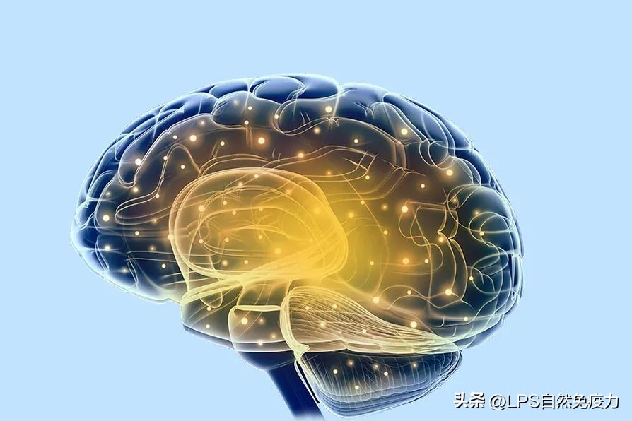 Do 5 things well to strengthen your brain and prolong your life - iNEWS